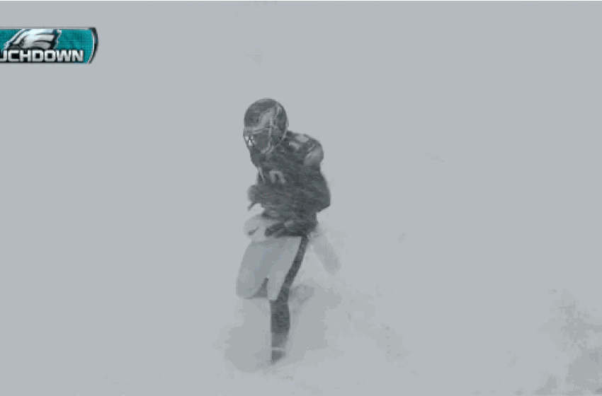 DeSean Jackson does the Terio after a touchdown in the snow (GIF)