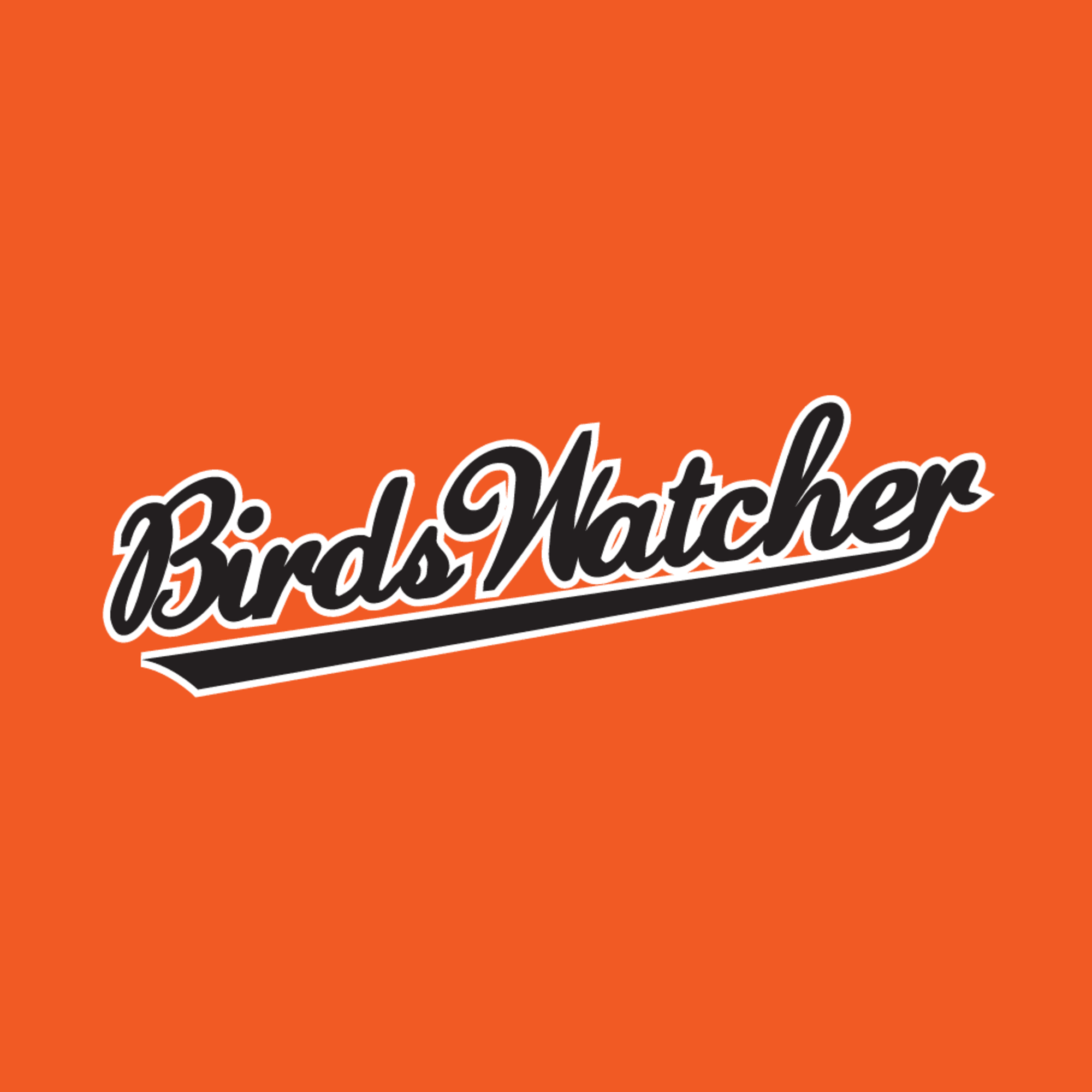 Baltimore Orioles News, Rumors, and Fan Community - Birds Watcher