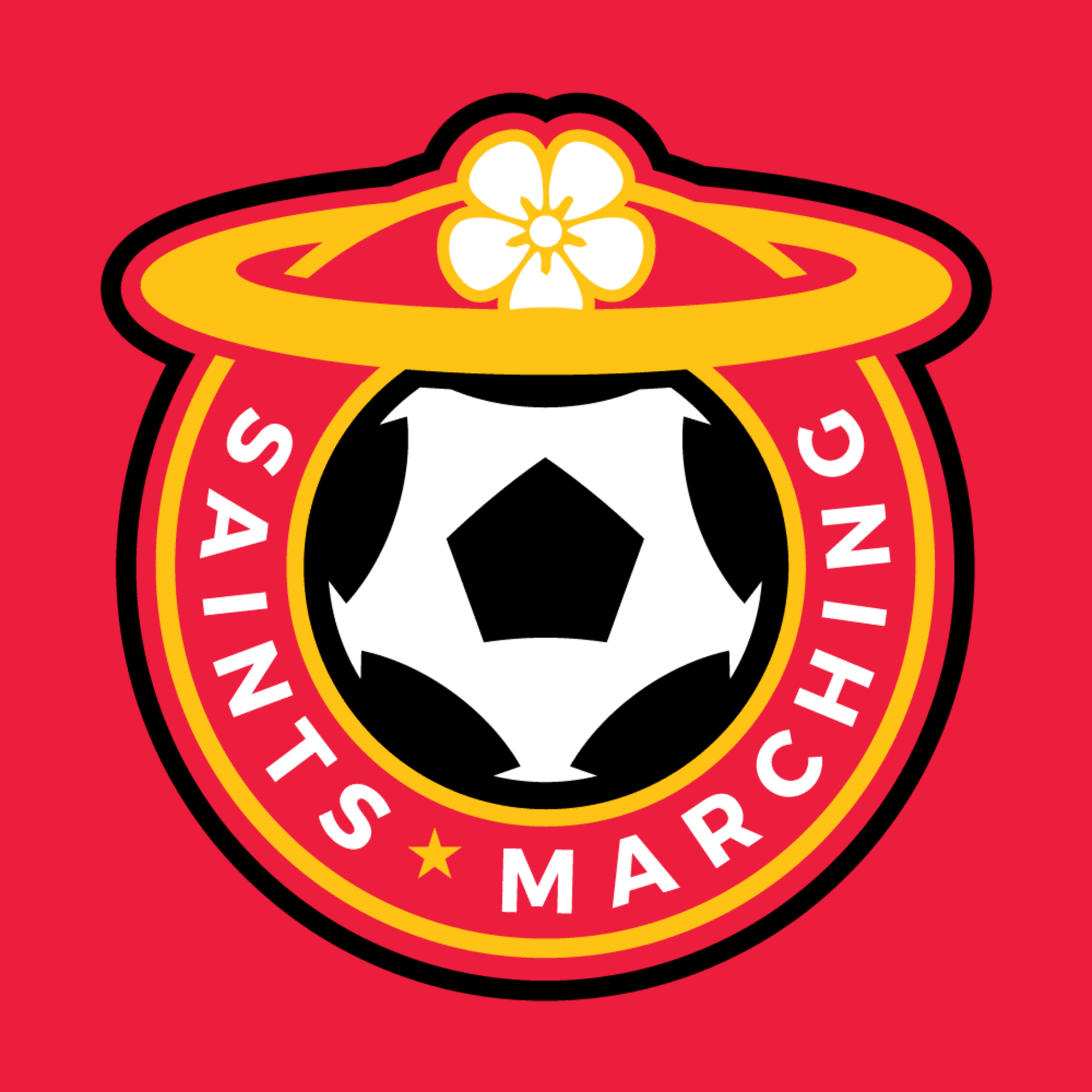 Southampton FC News news, photos, and more - Saints Marching