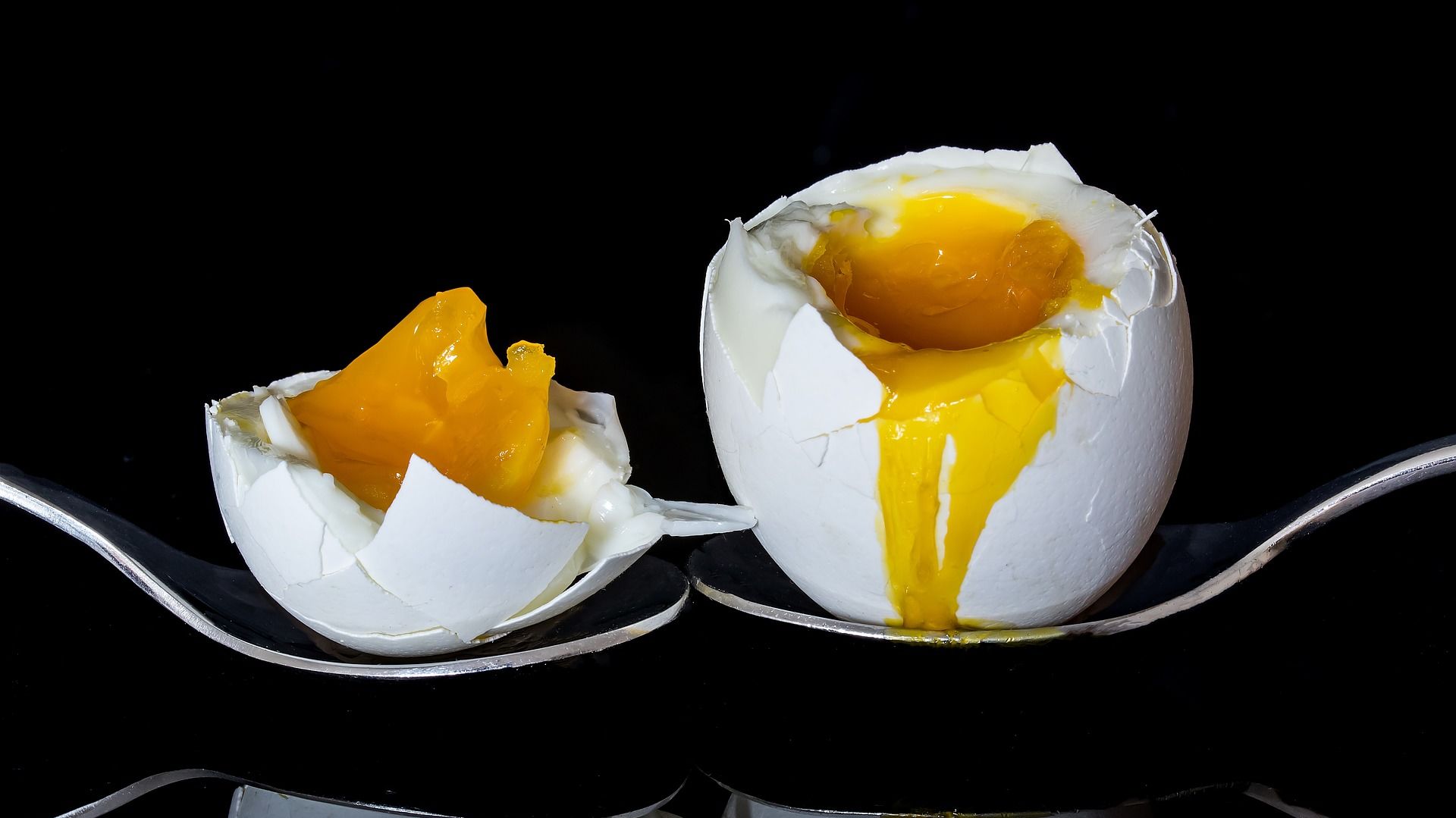 7 Common Food Myths Debunked Mental Floss 7-common-food-myths-debunked-mental-floss