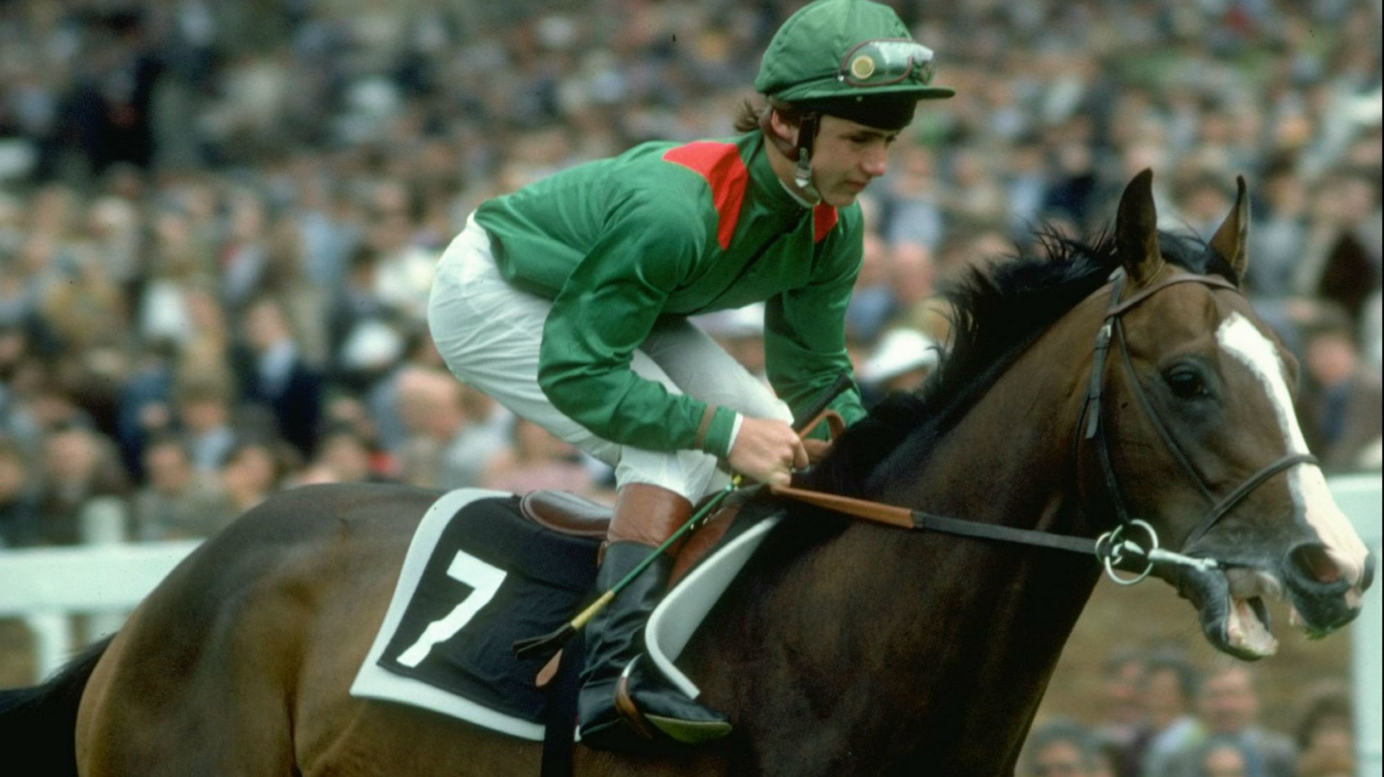 The Horsenapping of Shergar | Mental Floss