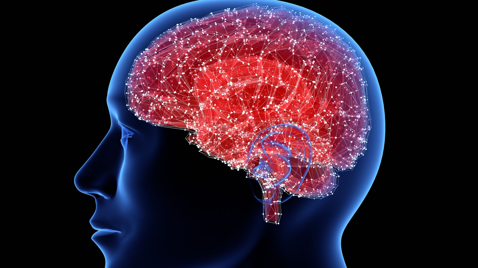 Psychology Multiple Choice Mental Floss psychology-multiple-choice-mental-floss