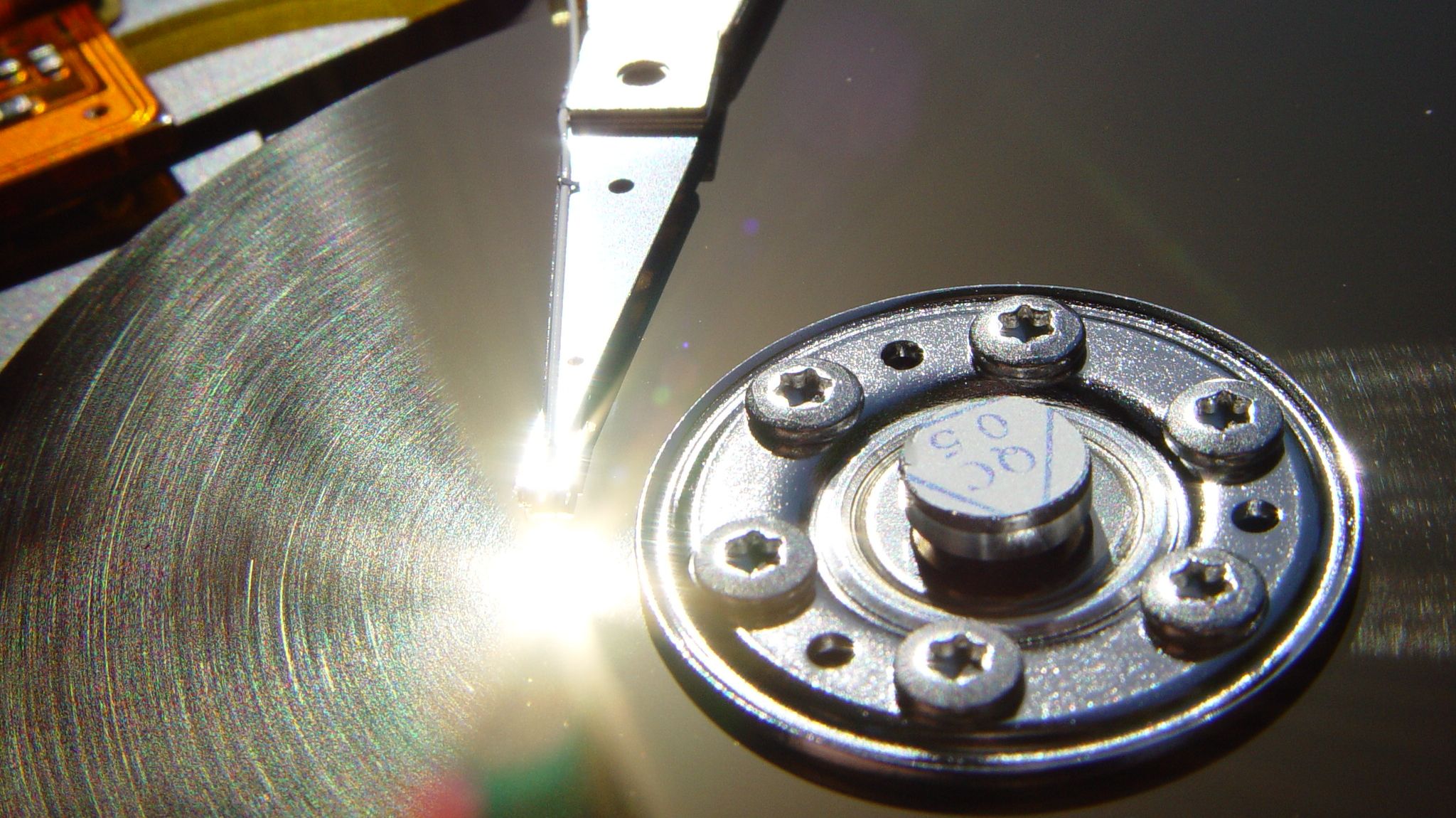 Behold the Floppotron, a Computer Hardware Orchestra | Mental Floss