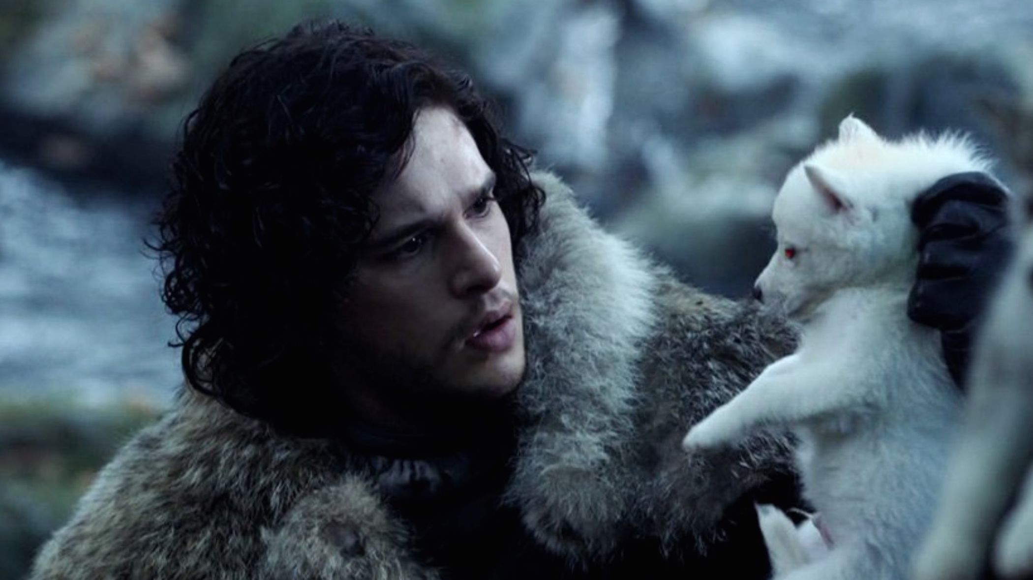 What Ghost Returning to Game of Thrones Could Mean for the Final Season ...