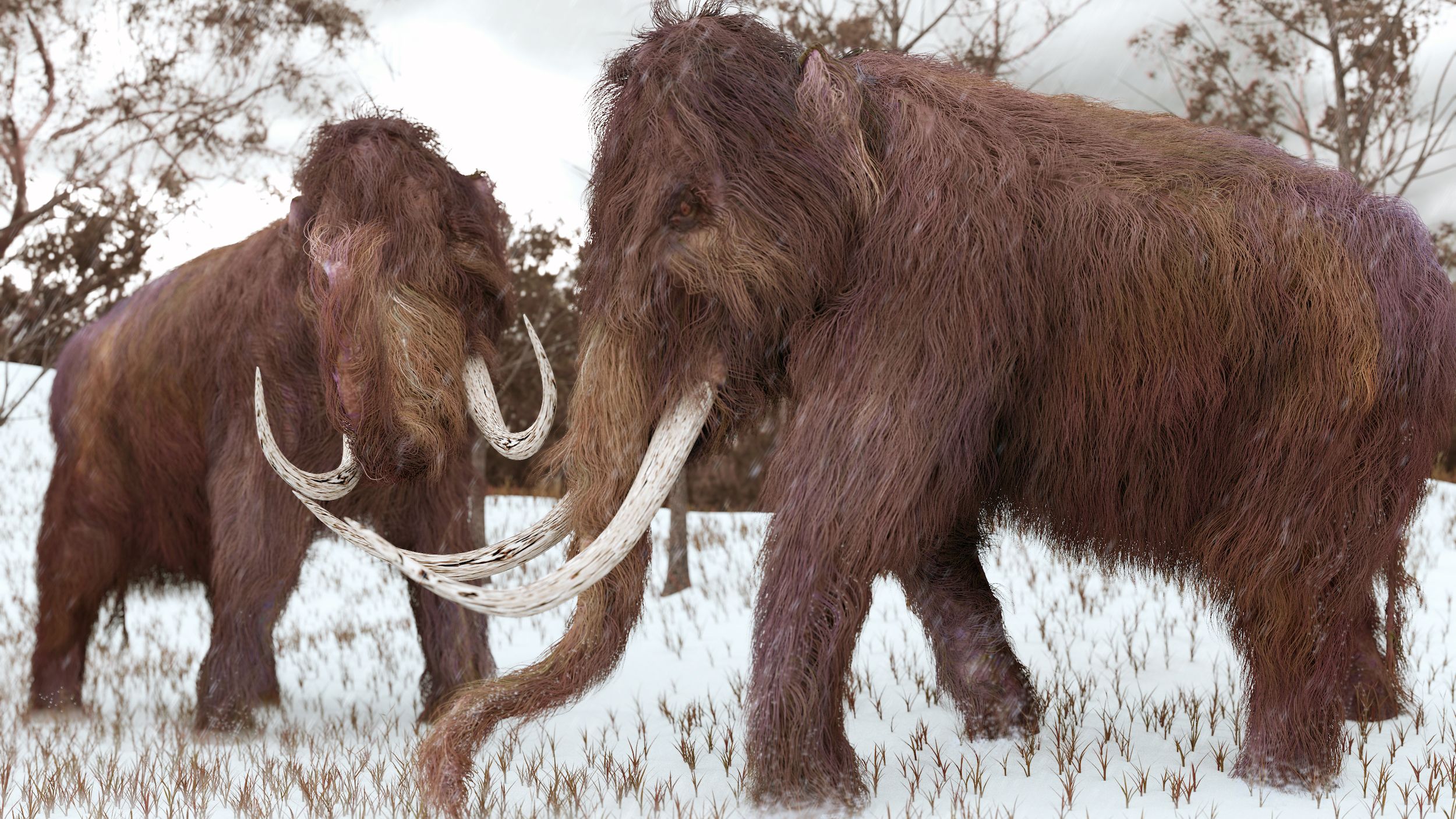 Science Finds a Way to Bring Back Extinct Animals | Mental Floss