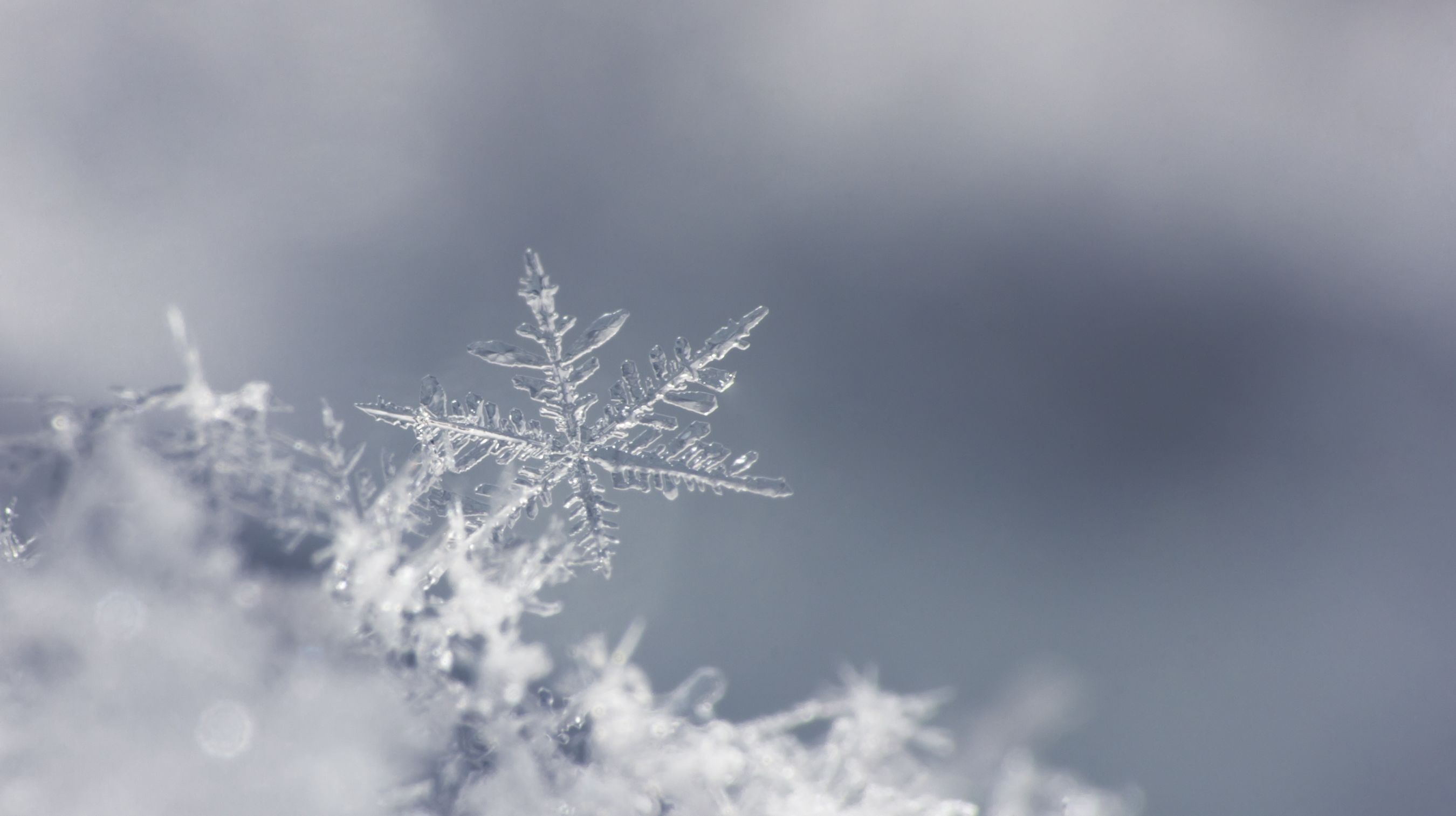 Is it true that no two snowflakes are alike? | Mental Floss