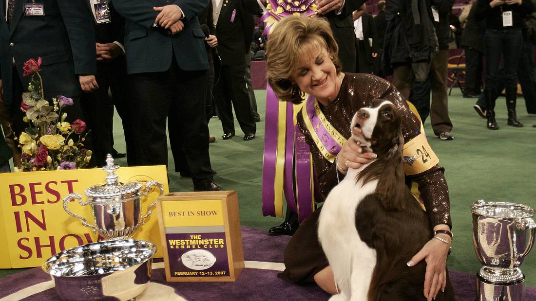 13 Behind the Scenes Secrets Of Dog Show Handlers Mental Floss 13 Behind the Scenes Secrets Of Dog Show Handlers Mental Floss
