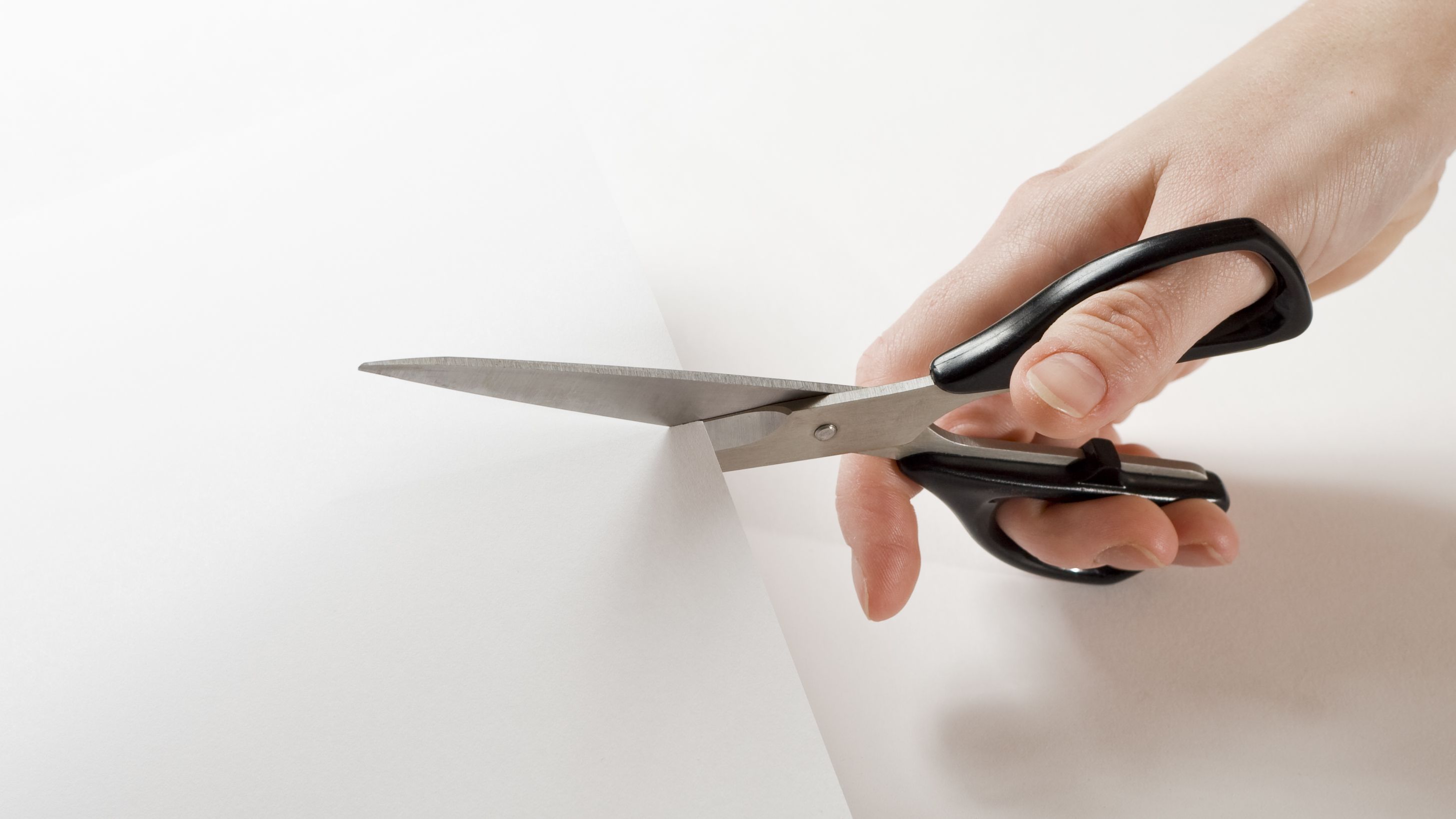 2 pairs of scissors check out the cheapest