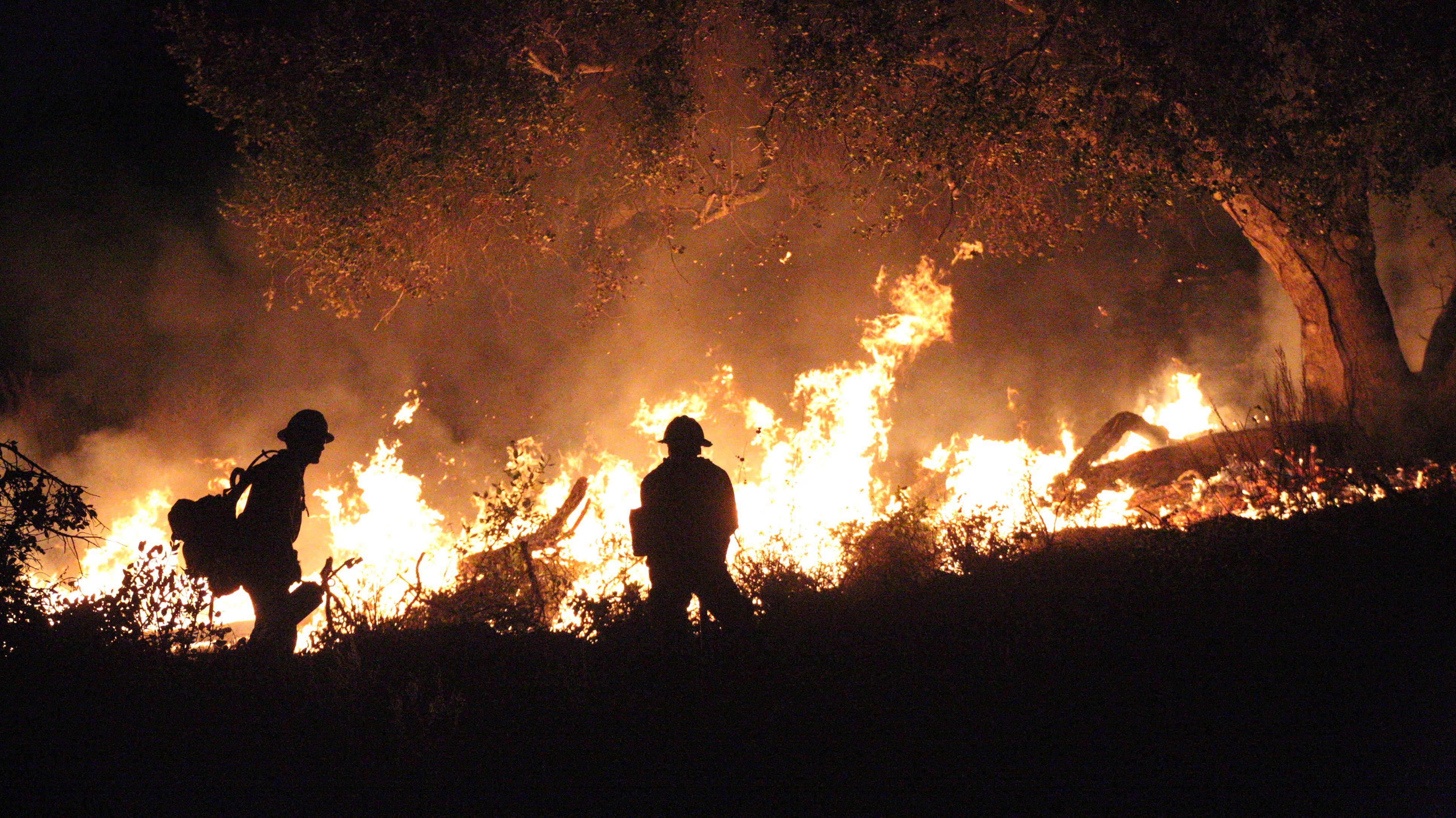 10 Strategies Firefighters Use to Fight Wildfires | Mental Floss