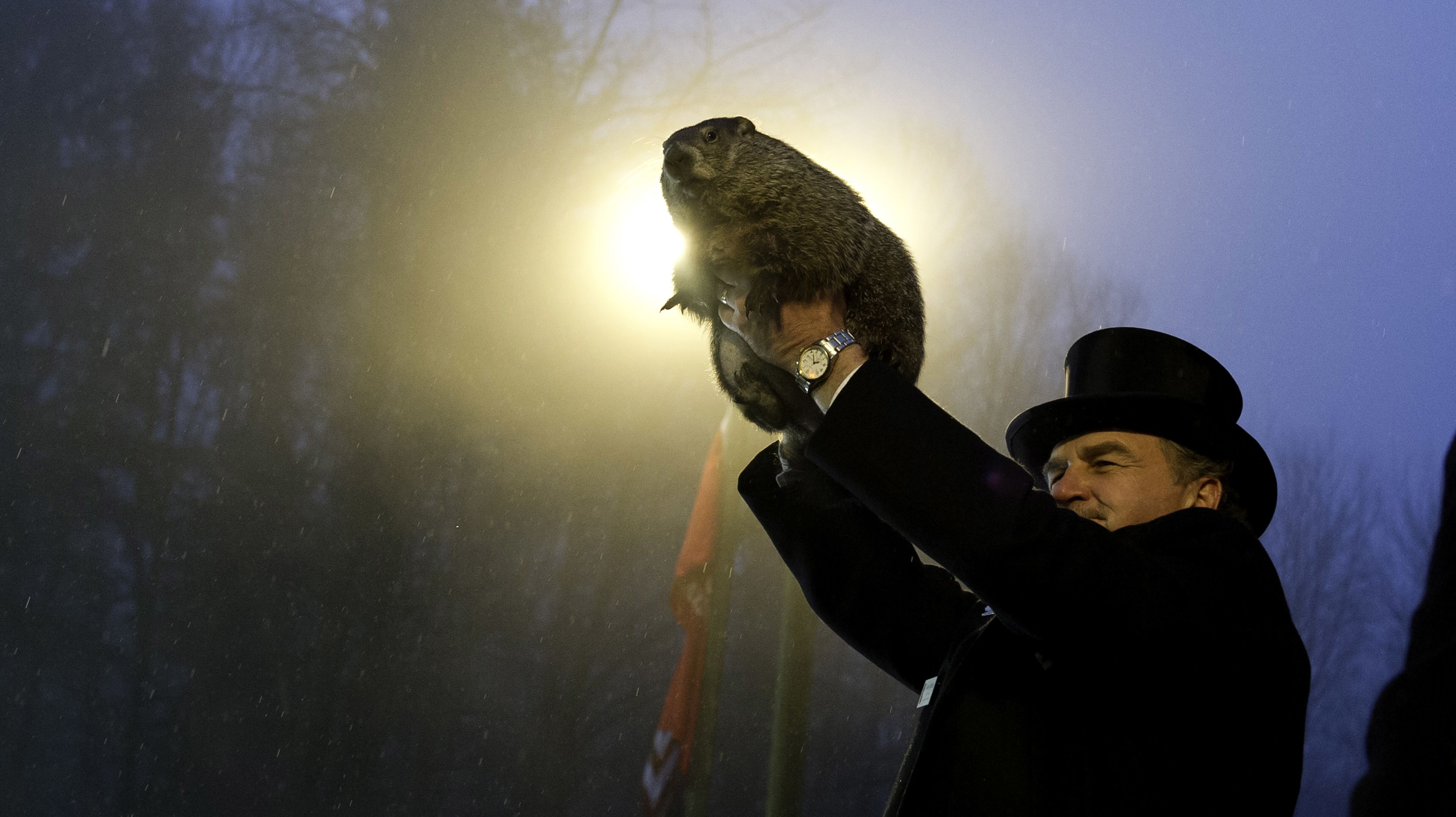 11 Punxsutawney Phil Facts for Groundhog Day | Mental Floss