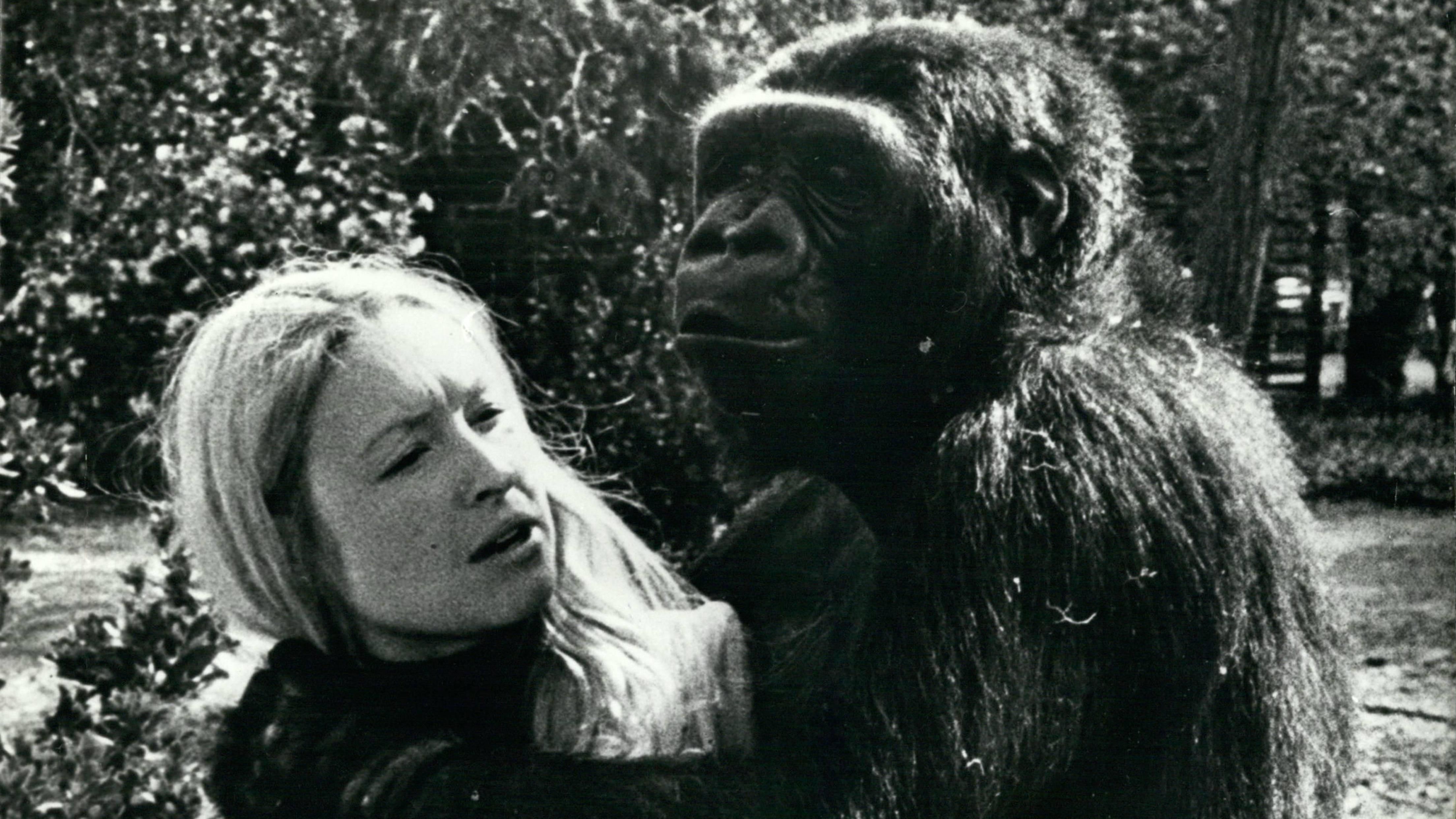 5 Facts About Koko the Gorilla | Mental Floss 5 Facts About Koko the Gorilla | Mental Floss