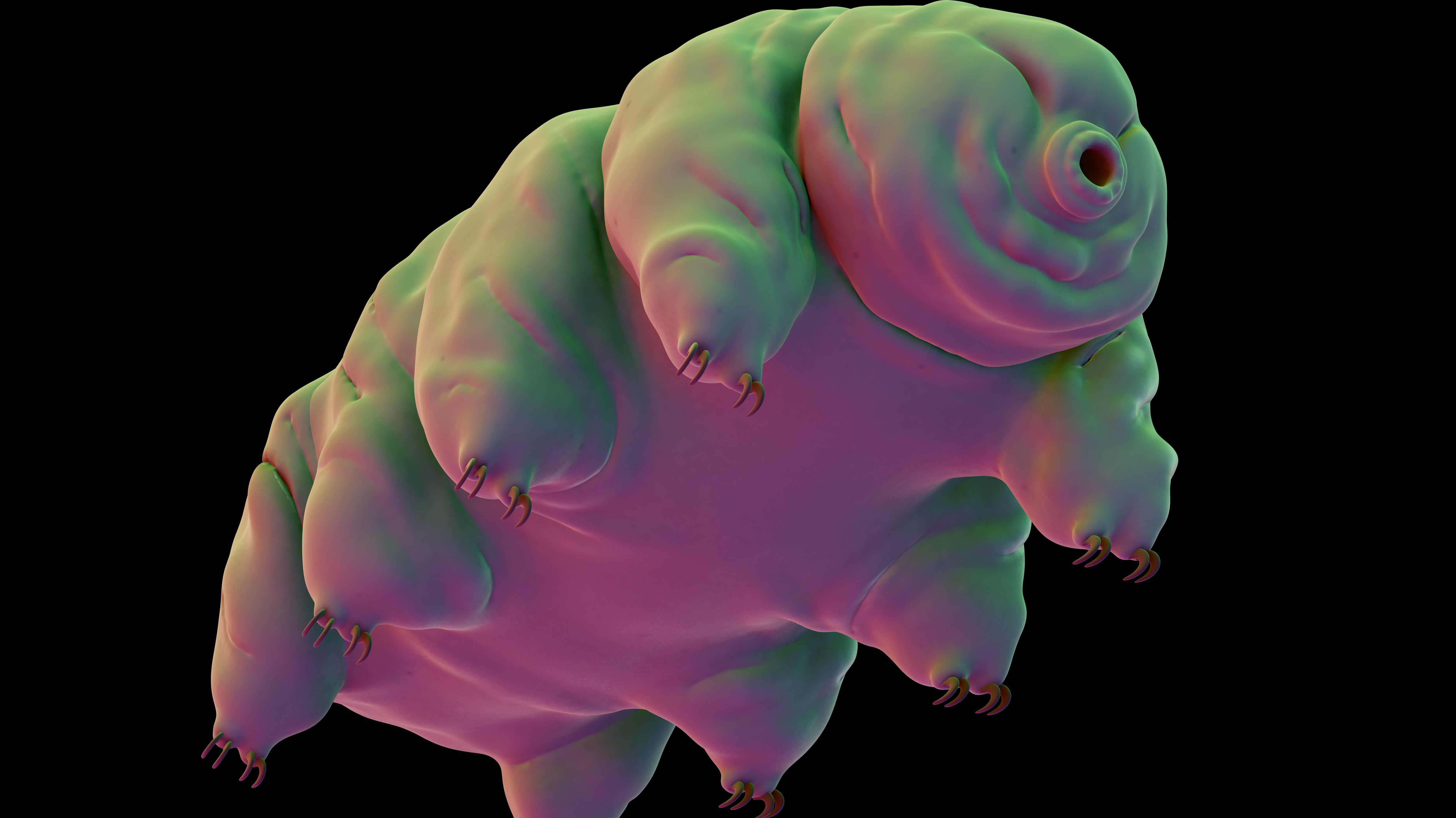 Thousands of Tardigrades Are Stranded on the Moon After an Israeli ...