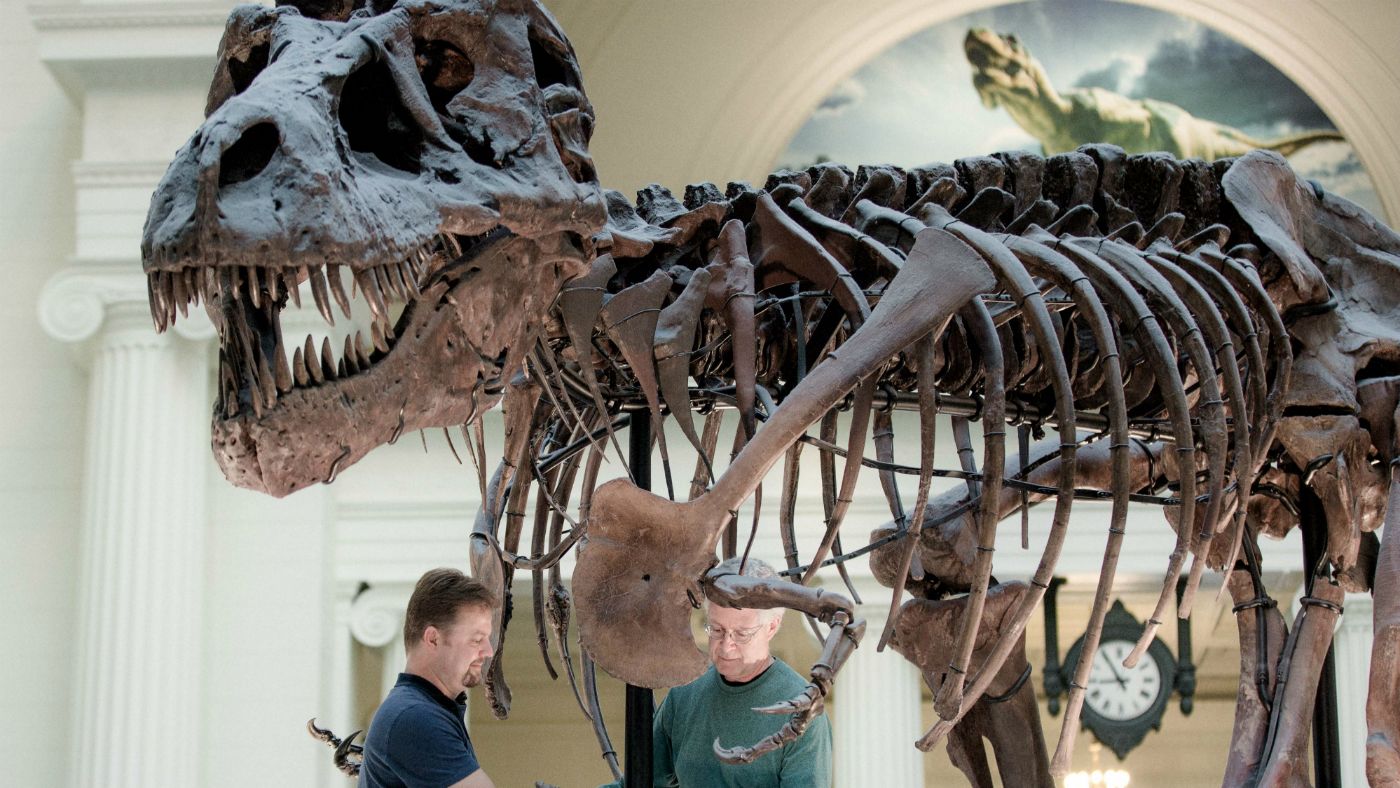SUE the T. Rex Is Getting a Makeover | Mental Floss
