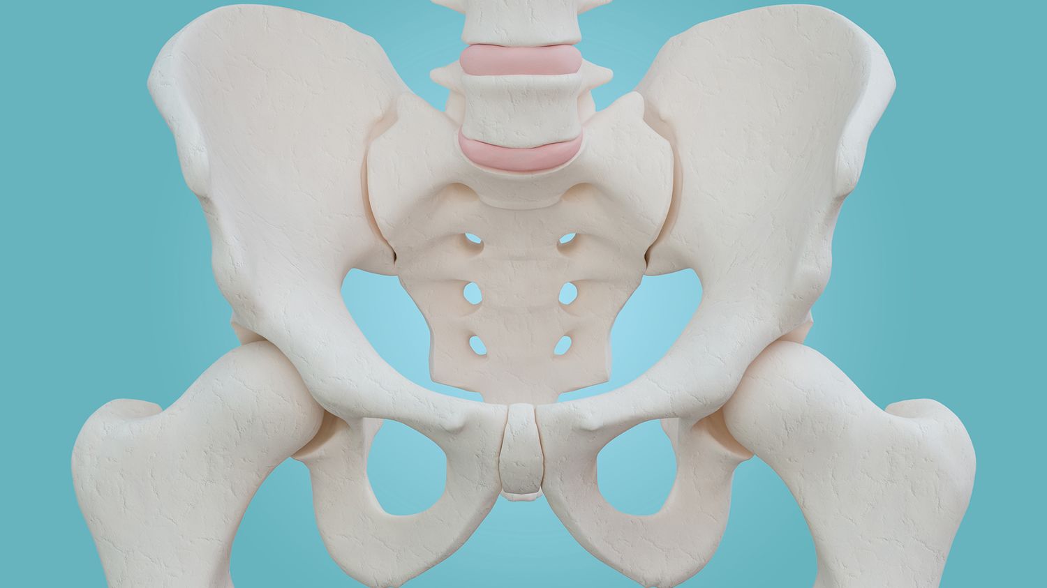 7 Essential Facts About the Pelvis | Mental Floss