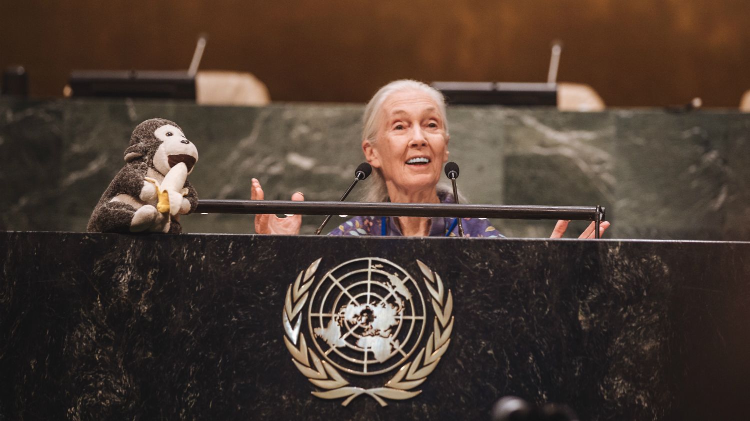 8 Defining Facts About Jane Goodall | Mental Floss