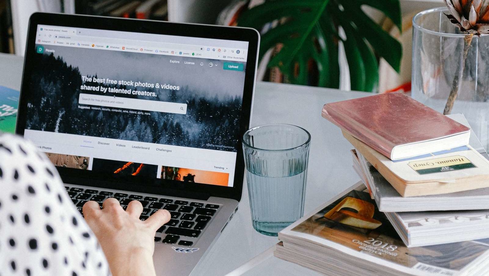 Sentence With Nor - MeaningKosh