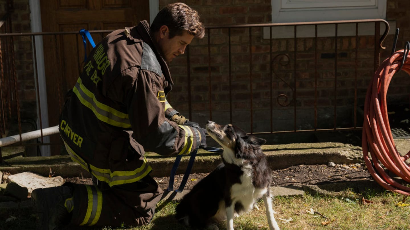 Carver looks after a dog in Chicago Fire season 13, episode 8 (Preview)