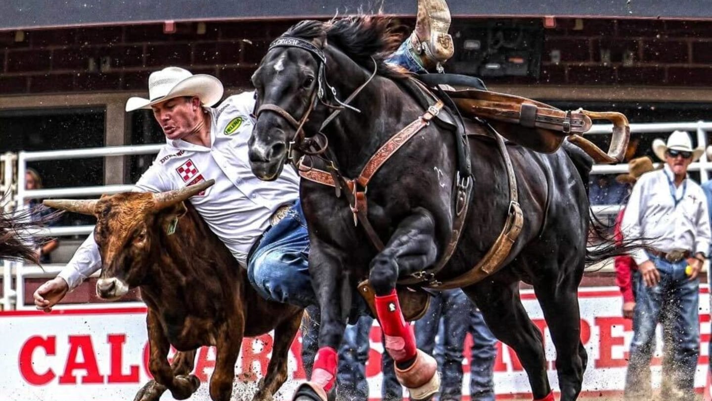 The Unsung Racehorses of Rodeo: Pedigrees of the Top 15 NFR Steer ...