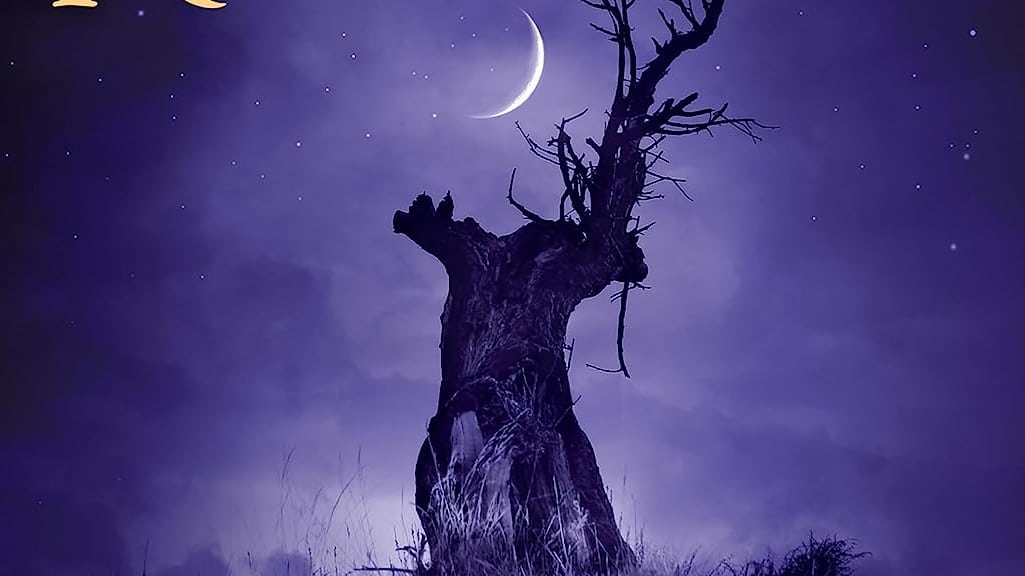 All 6 Kingkiller Chronicle books, novellas and short stories, ranked