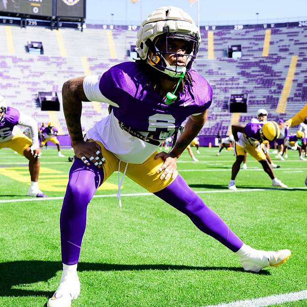 LSU Football EDGE, Florida State Seminoles Transfer Has Brian Kelly's ...