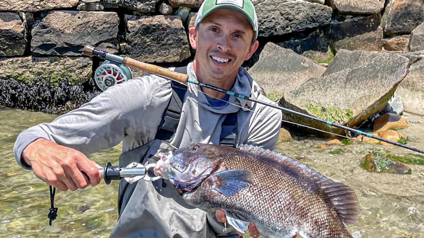 World Record Tautog on a Fly Rod. An Unexpected Catch Turns Into a Fish ...