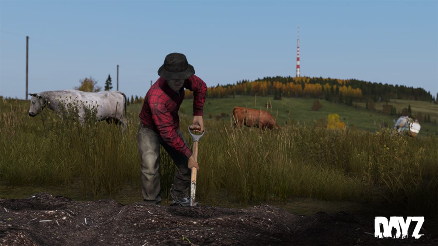 How To Make A Flag Pole In DayZ