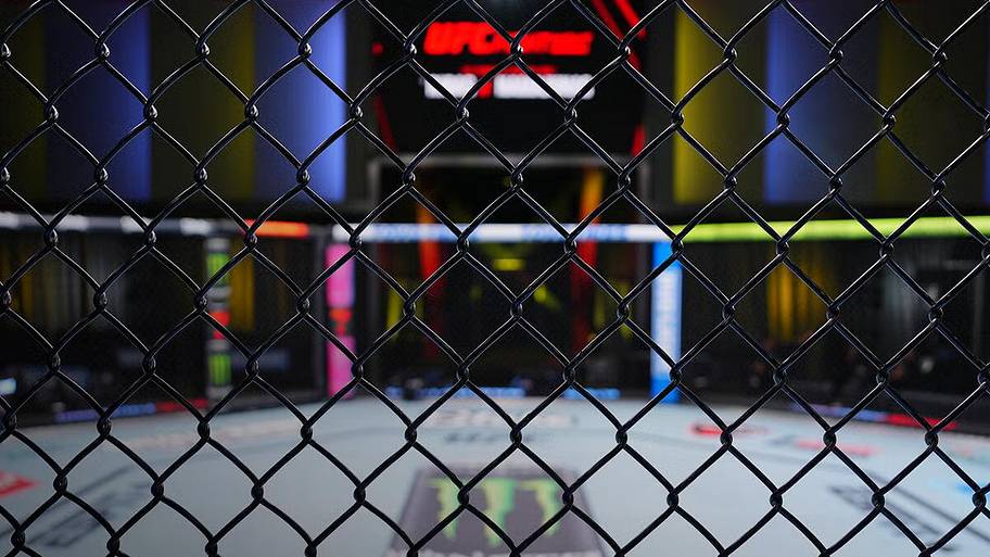 UFC axes MMA fighter linked with betting scandal after suspicious loss ...