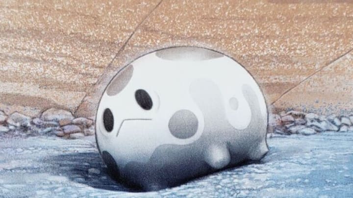 corsola evolution pokémon go