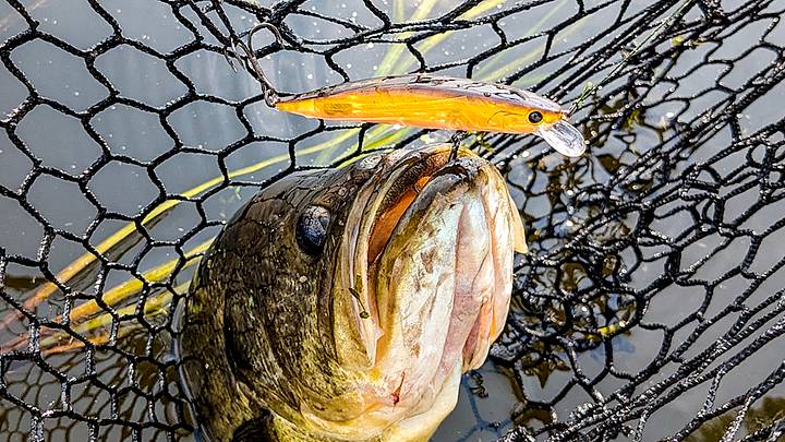 Review of the new Lunkerhunt Black Daggr Stick suspending jerkbait ...