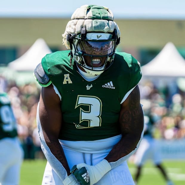 The Eye-Catchers: Five Offseason Winners for LSU Football Ahead of ...