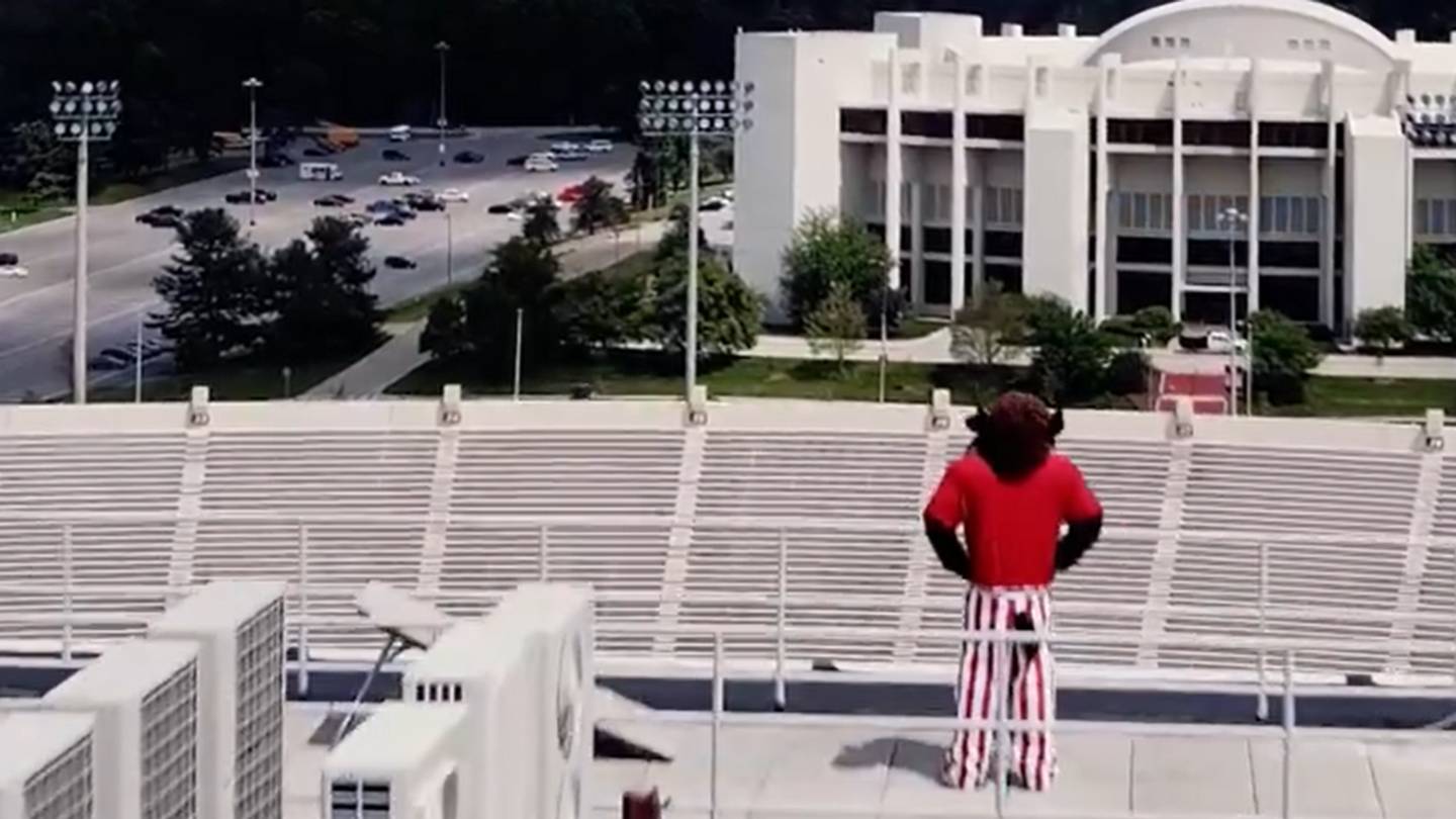 Indiana's Hoosier the Bison Mascot to Debut at Football Season Opener