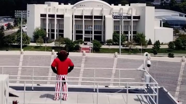 Indiana's Hoosier the Bison Mascot to Debut at Football Season Opener