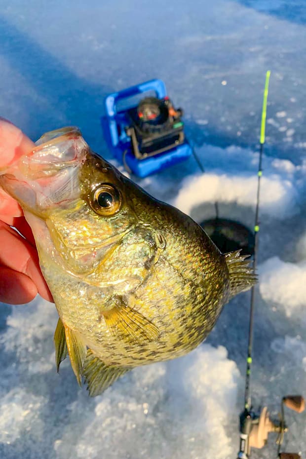 Winter Crappie Fishing: Why Crappies Go Deep and How to Catch Them