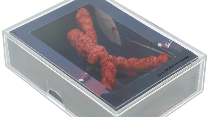 Air Jordan Jumpman Cheeto Up for Auction