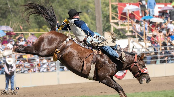 World Champion Gives Gold Medal Performance In Win At Days of ’47 Rodeo