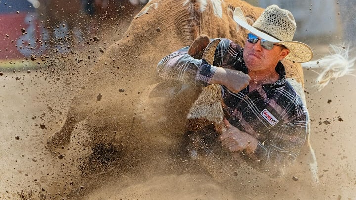 Holden Myers Savoring Unanticipated Rise In PRCA Steer Wrestling Rankings