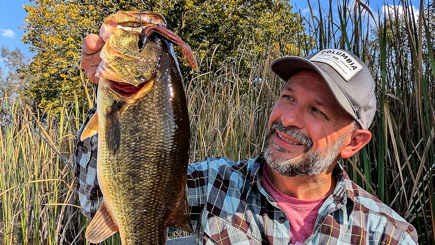 Learn these six tips to help take better fish photographs when on the ...
