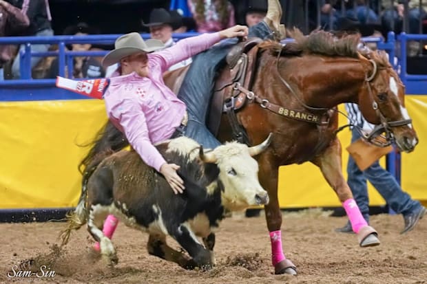 The Unsung Racehorses of Rodeo: Pedigrees of the Top 15 NFR Steer ...