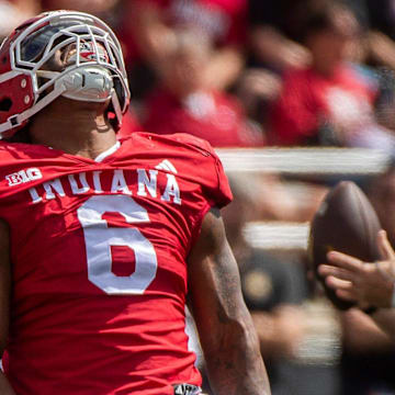 It’s Official: The Bison Is Back As Indiana’s Mascot