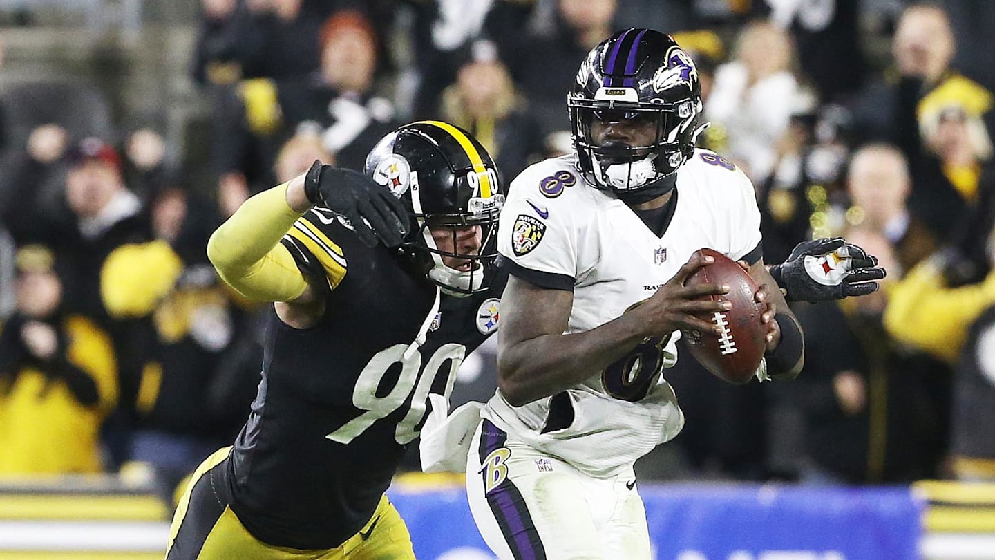 NFL's In-Season Hard Knocks Will Feature Entire AFC North