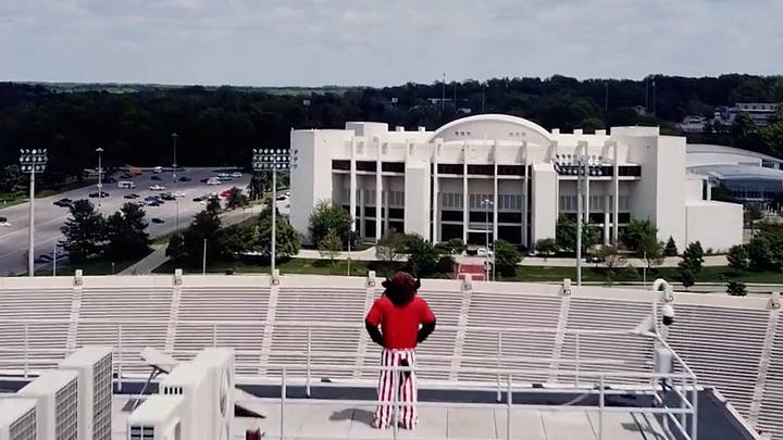Hoosier The Bison Joins Colorful Group Of Big Ten Mascots