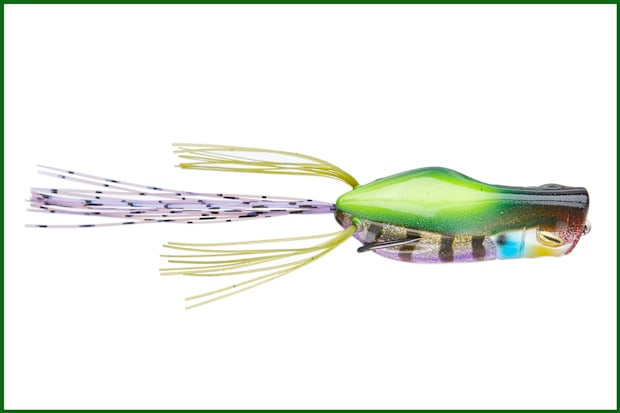 Frog Fishing for Bass in Summer Slop – Best Frog Lures and Tips