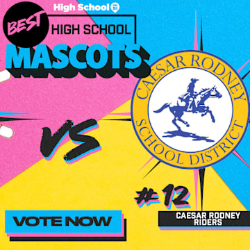 Top 10 high school mascots in Wisconsin: Vote for the best