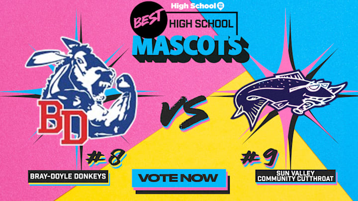National high school mascot bracket, Round 1: Vote for Bray-Doyle ...