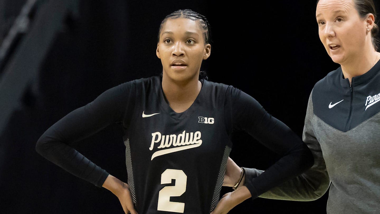 Spartans Land Rising Transfer Guard