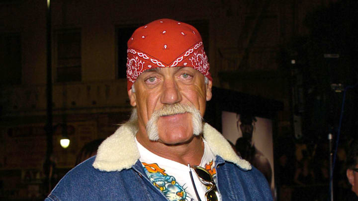 Hulk Hogan and Eric Bischoff's New Wrestling Promotion Secures FOX ...