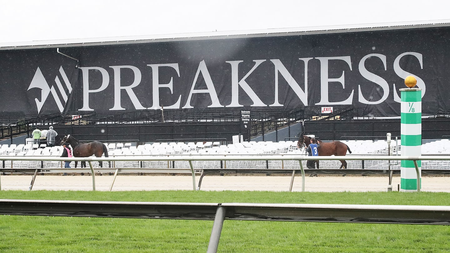 Preakness betting payouts 2024: Trifecta and Superfecta results