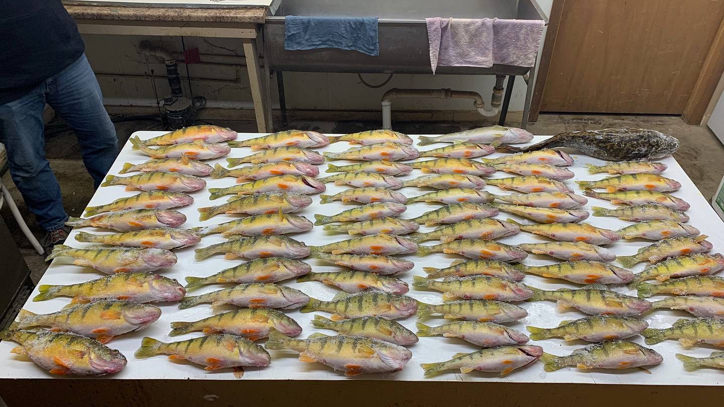 Best Jumbo Perch Ice Fishing Destinations