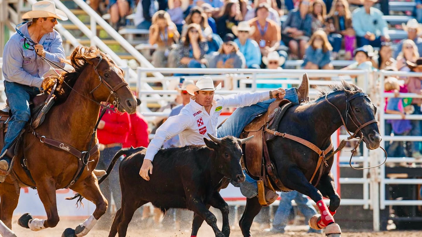 Crushin it: Ty Erickson's Finding Meno Earns Horse of the Year Honors