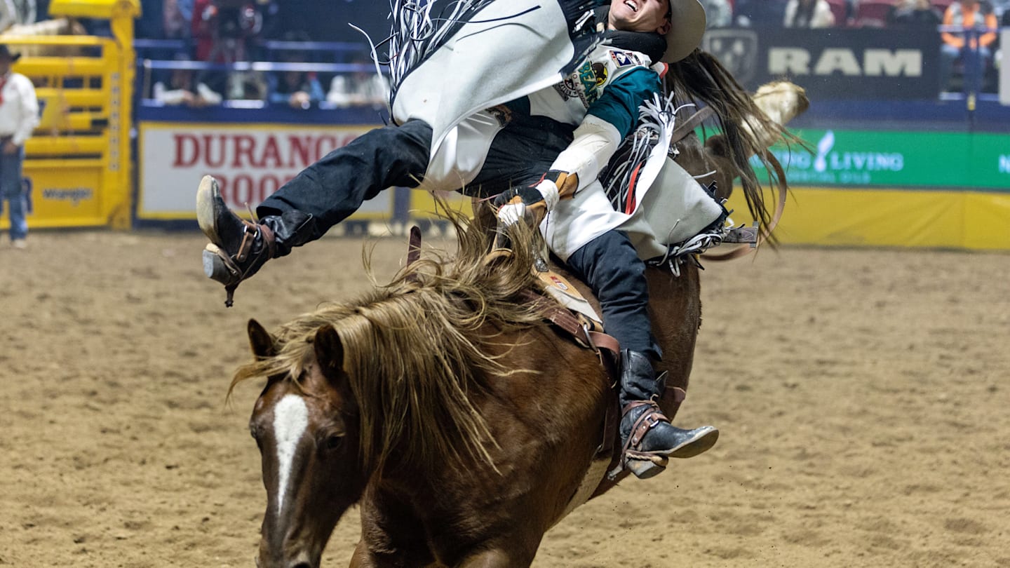 Feed Company Takes Responsibility for Dozens of Horse Deaths